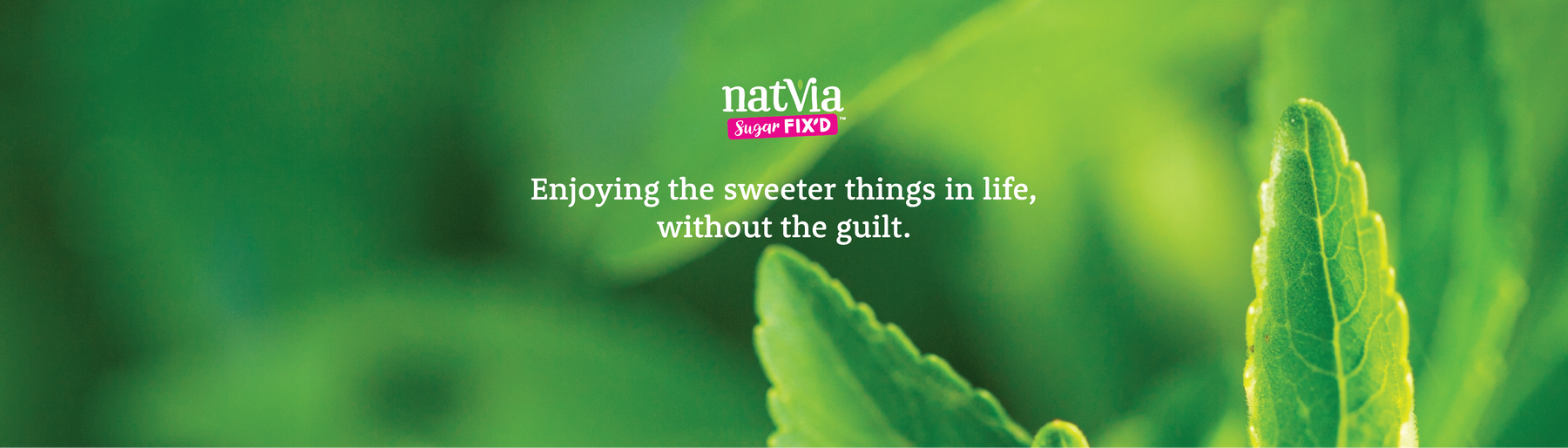 Natvia Natural Sweetener Sugar Free Store